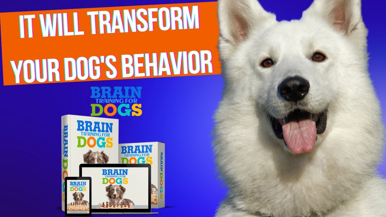 🔴 BRAIN TRAINING FOR DOGS REVIEW┃IT WILL TRANSFORM YOUR DOG'S BEHAVIOR ...