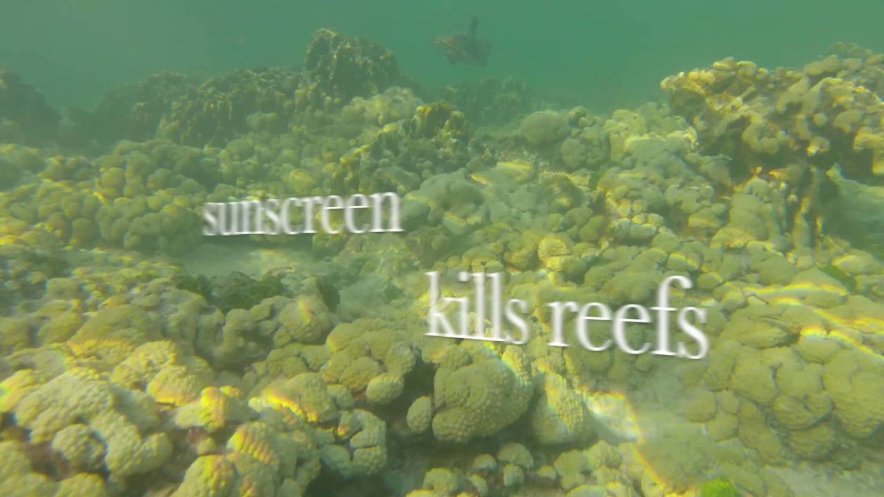 Sand Key Light 'Sunscreen Kills Coral Reefs' - YouTube