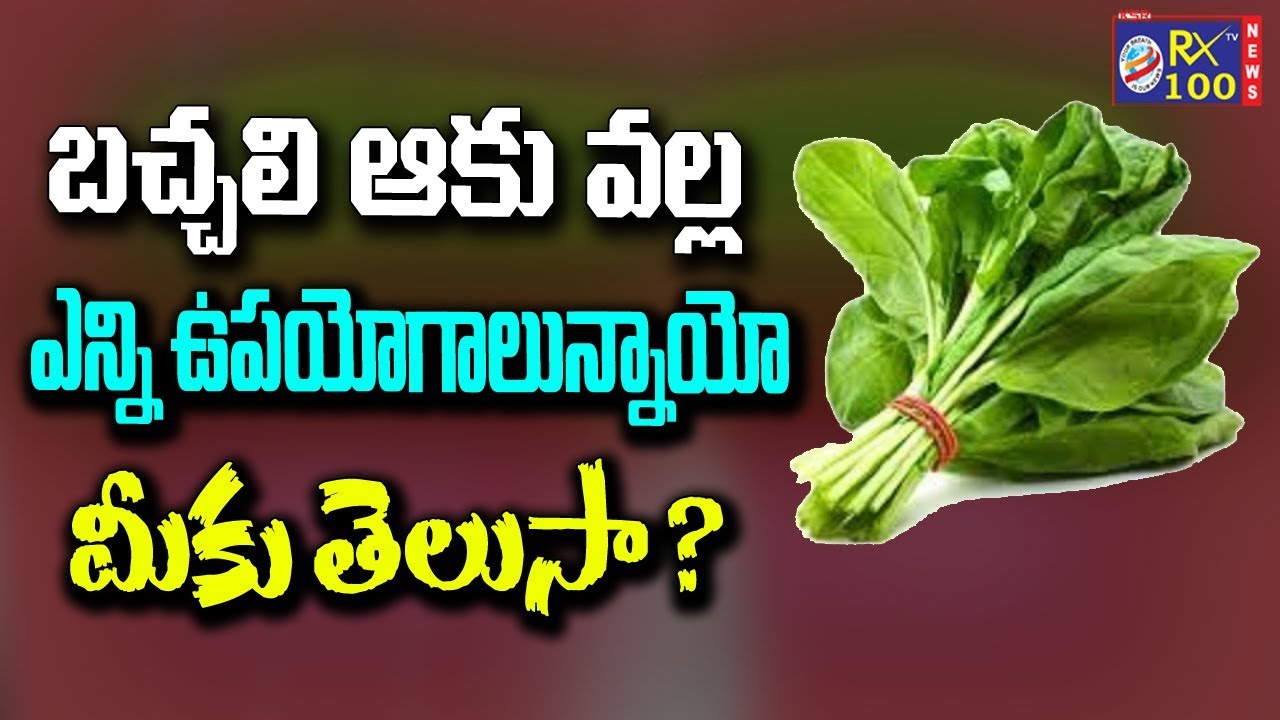 Health Benefits Of Spinach Bachali Aaku || Bachali Aaku Uses || KSR RX ...