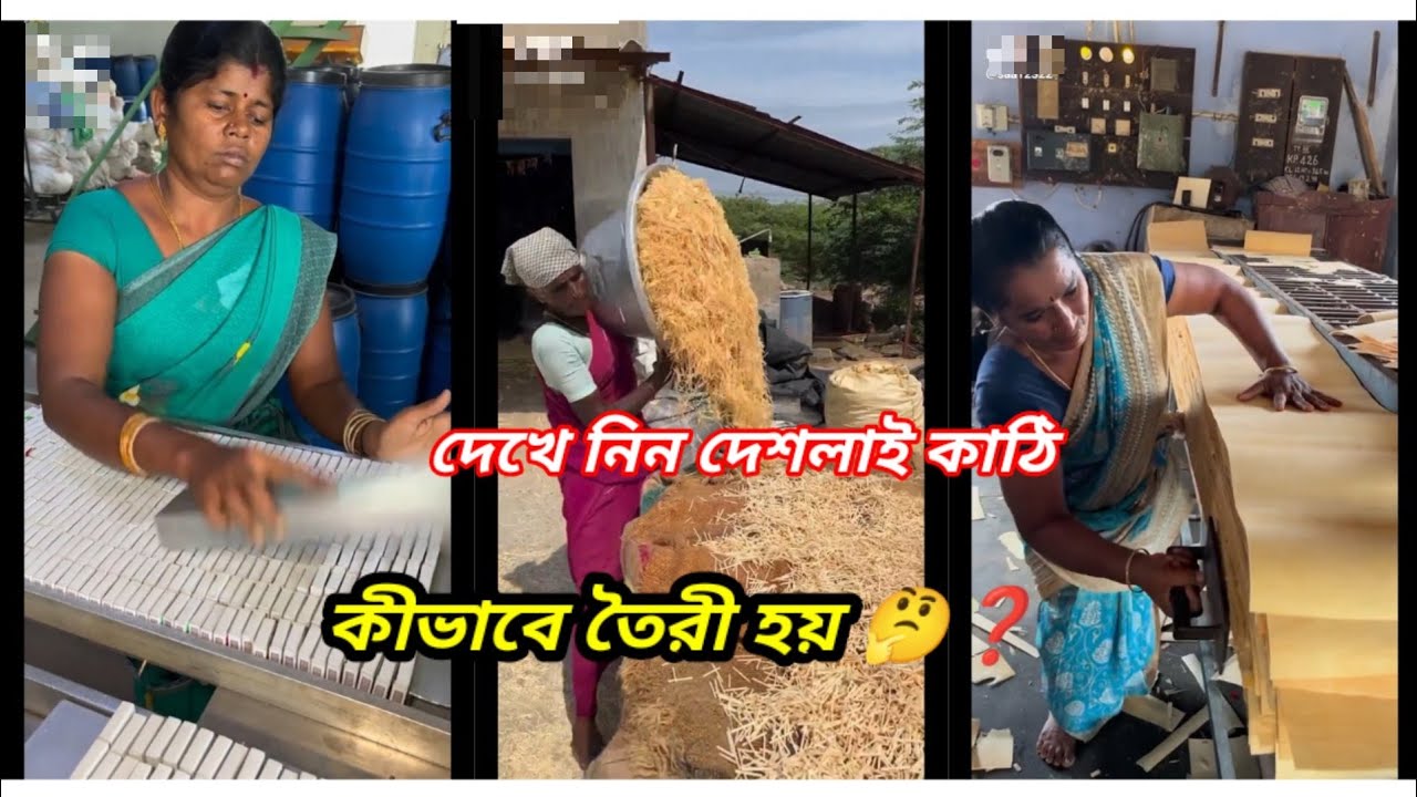 Method of making Deshlai Kathi .. দেশলাই কাঠি তৈরির পদ্ধতি 🤔 #howto # ...