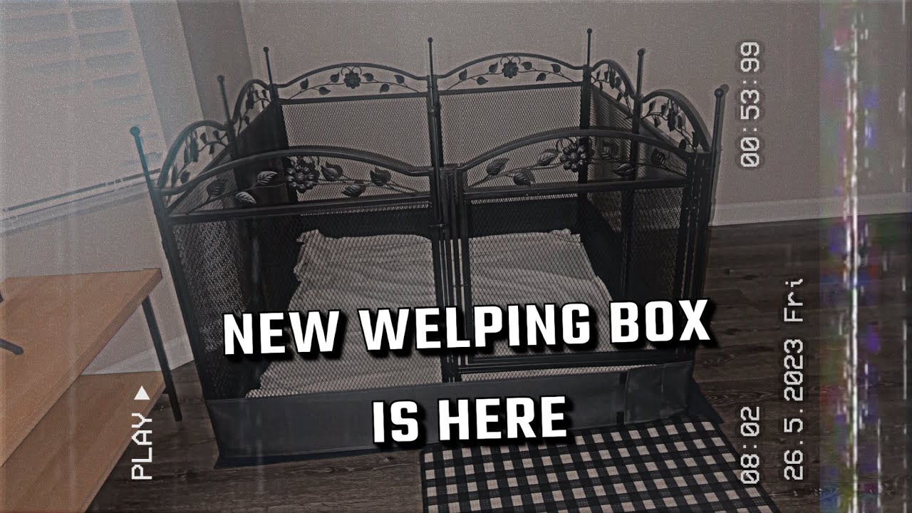 New Welping box install - YouTube