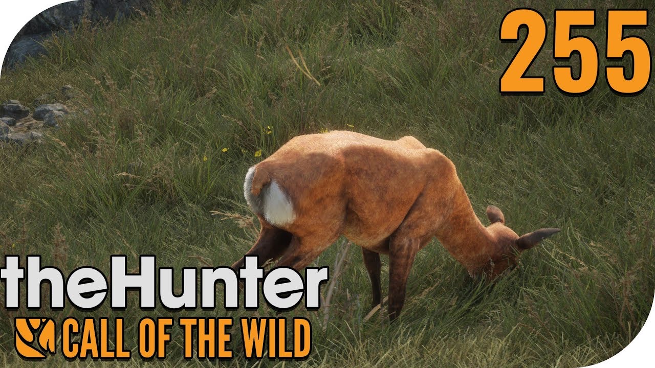 THE HUNTER: CALL OF THE WILD #255 - MIT DEM REVOLVER UNTERWEGS! 🐗 ...
