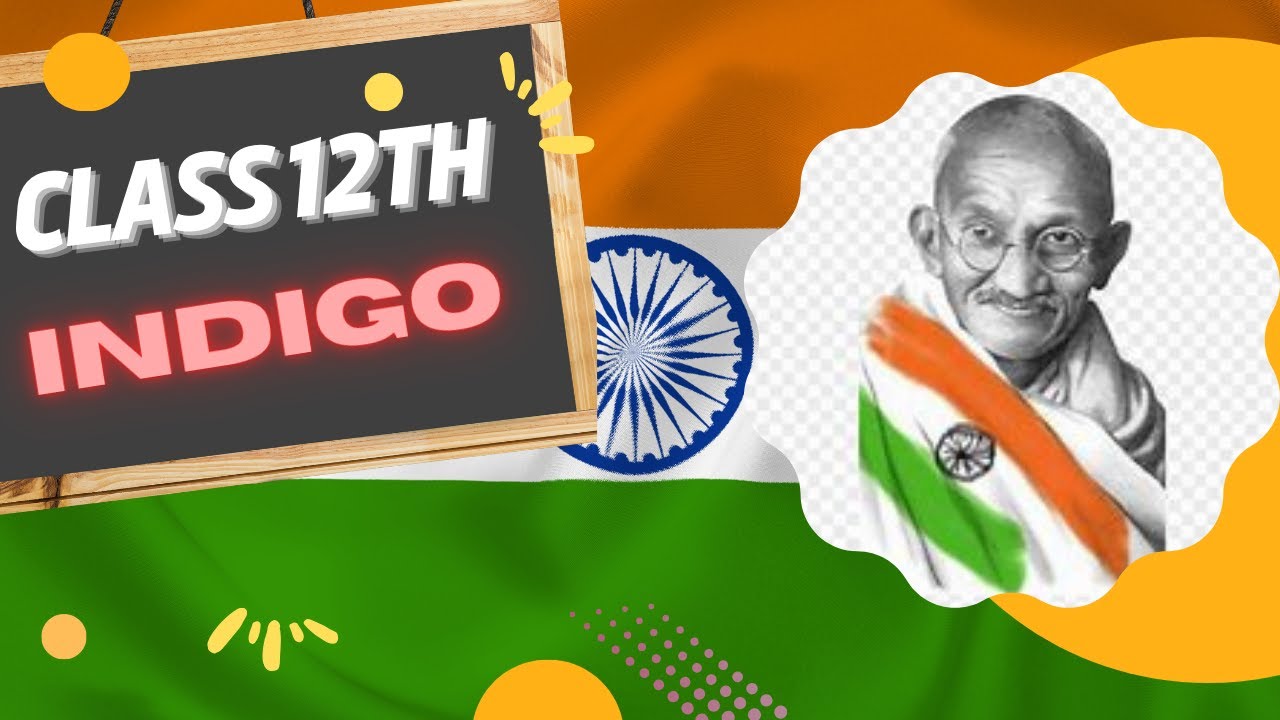 CLASS 12TH | INDIGO | ANIMATION VIDEO | EASY EXPLAINATION - YouTube