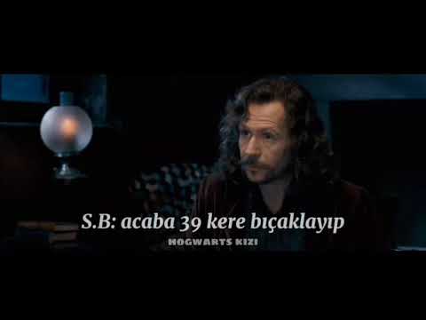 #pov : y/n bı süre ortalıkta yoktur ve... aynı zamanda Sirius'un kızıdır