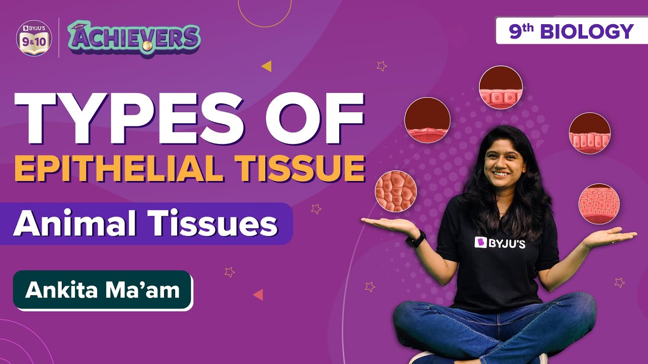 Epithelial Tissues (Animal Tissues) Class 9 Science (Biology): Concept ...