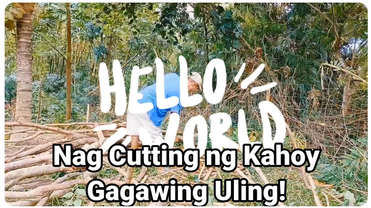 『Cutting Wood para gawing Uling』〘Very hard labor〙 - YouTube