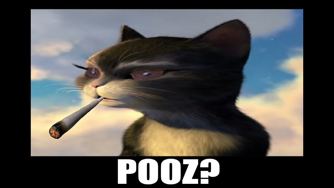 Puss kitty Puss Kitttty~ - YouTube