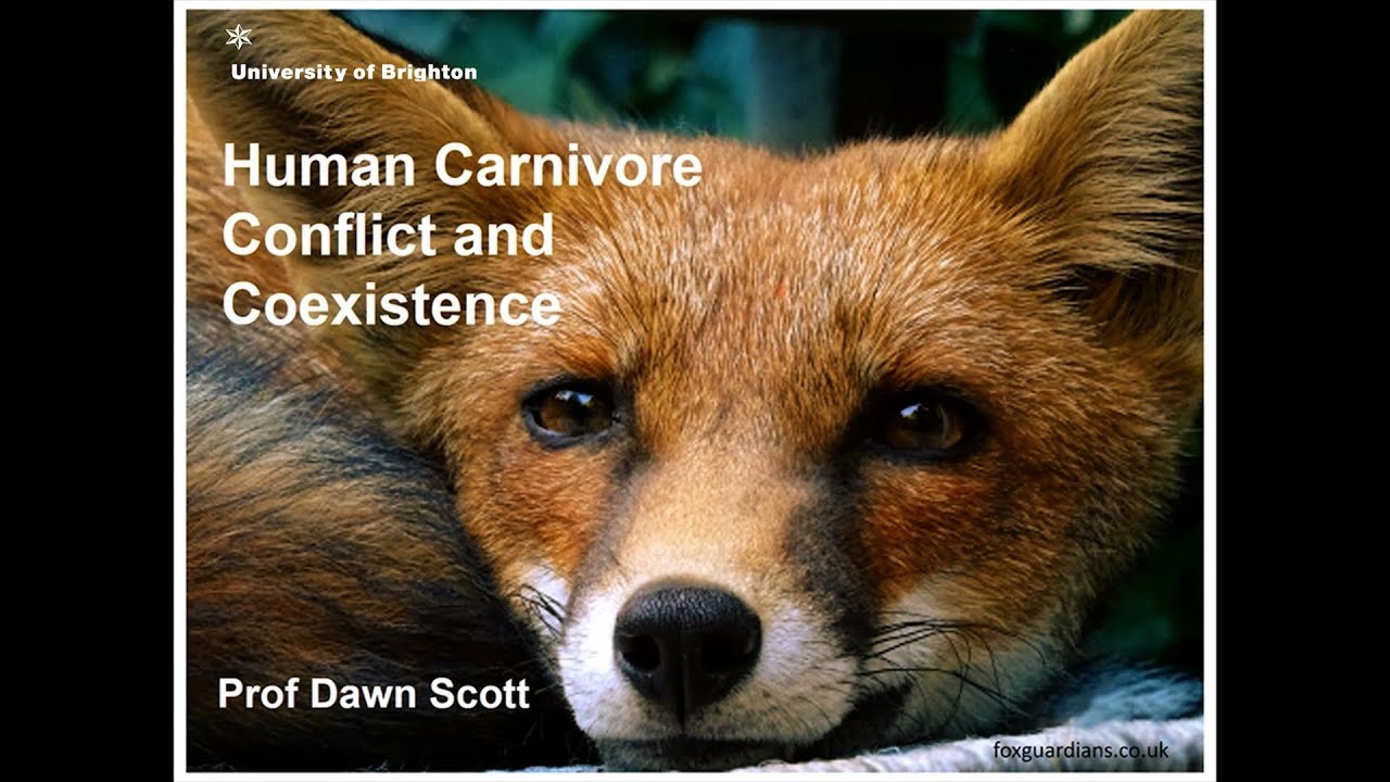 Professor Dawn Scott | Inaugural lecture - YouTube