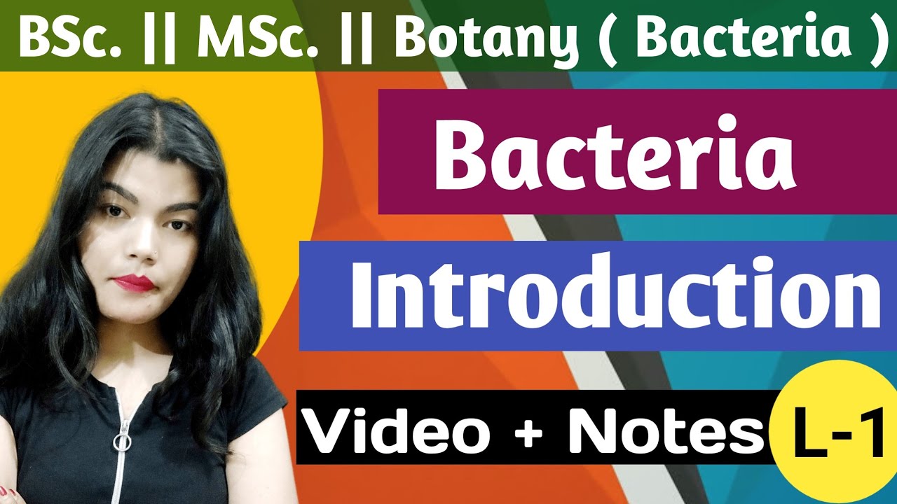 Introduction of Bacteria | BSc 1st semester Botany | Bacteria - YouTube