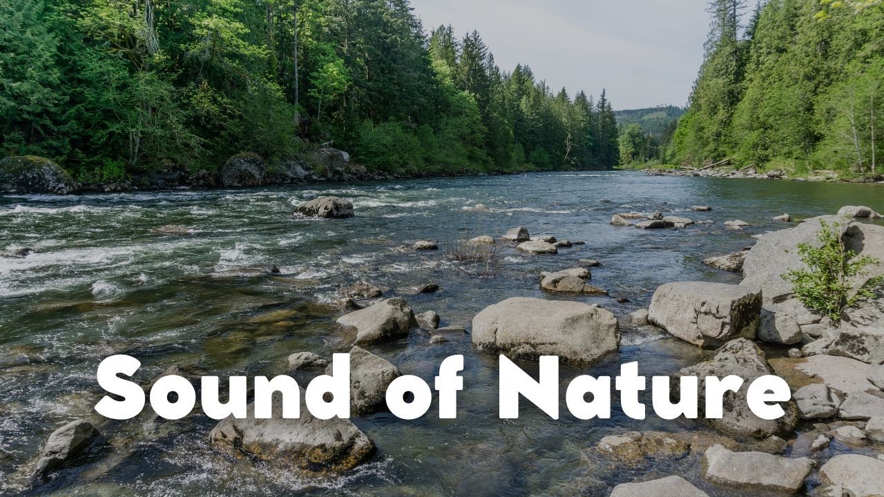 Nature Sounds - Flowing Water Sound Helps You Relax And Have A Deep ...
