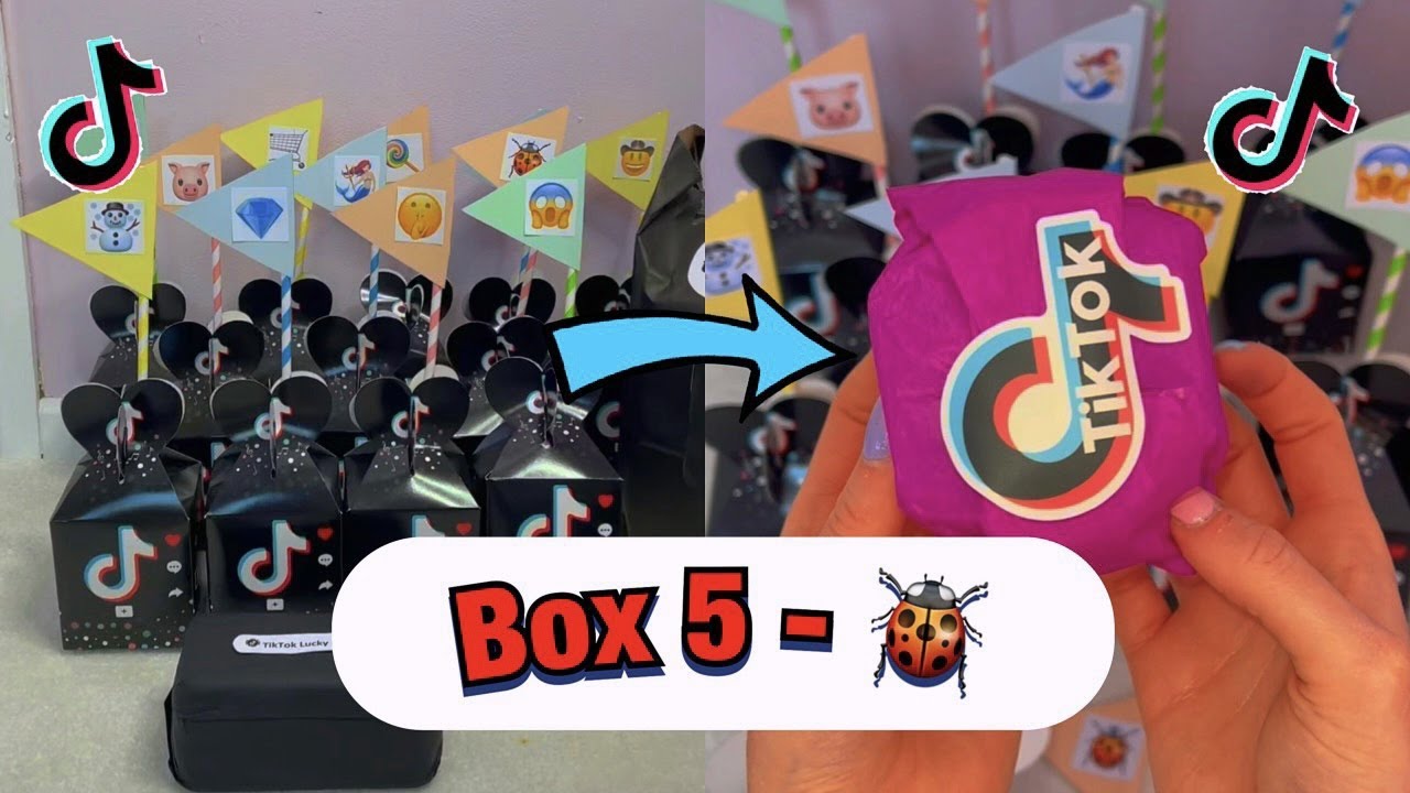TikTok Mystery Boxes - BOX 5!🐞 *asmr* #Shorts - YouTube