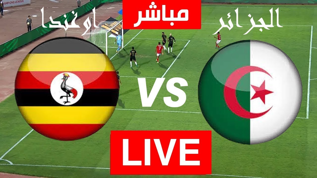 بث مباشر مباراة الجزائر واوغندا اليوم فى تصفيات كأس العالم Algeria vs ...