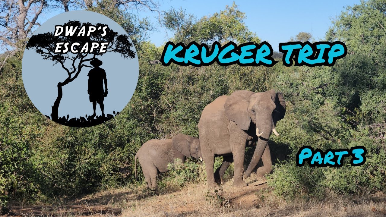 A Kruger Adventure | The Shingwedzi Special | Part 3 - YouTube
