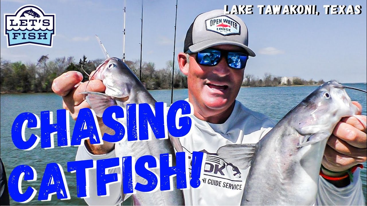 SHALLOW WATER BLUE CATS!! 2-2024 SouthEAST - YouTube