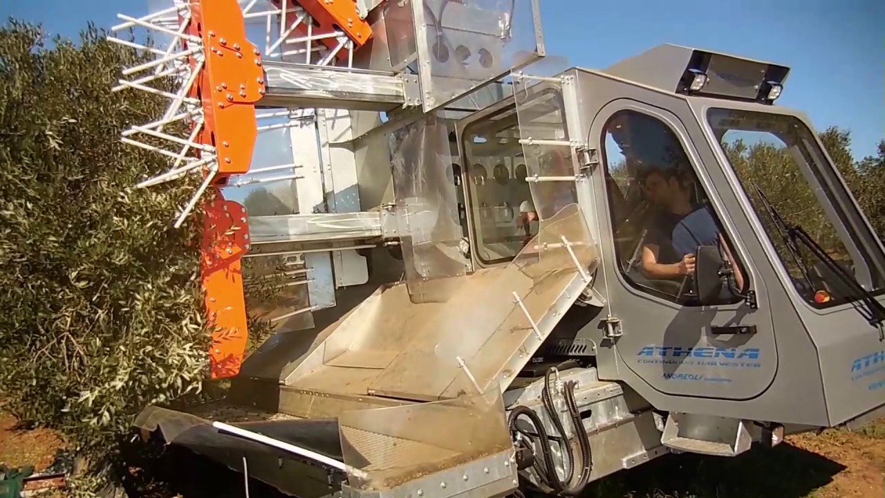 ANDREOLI ENGINEERING - ATHENA - YouTube