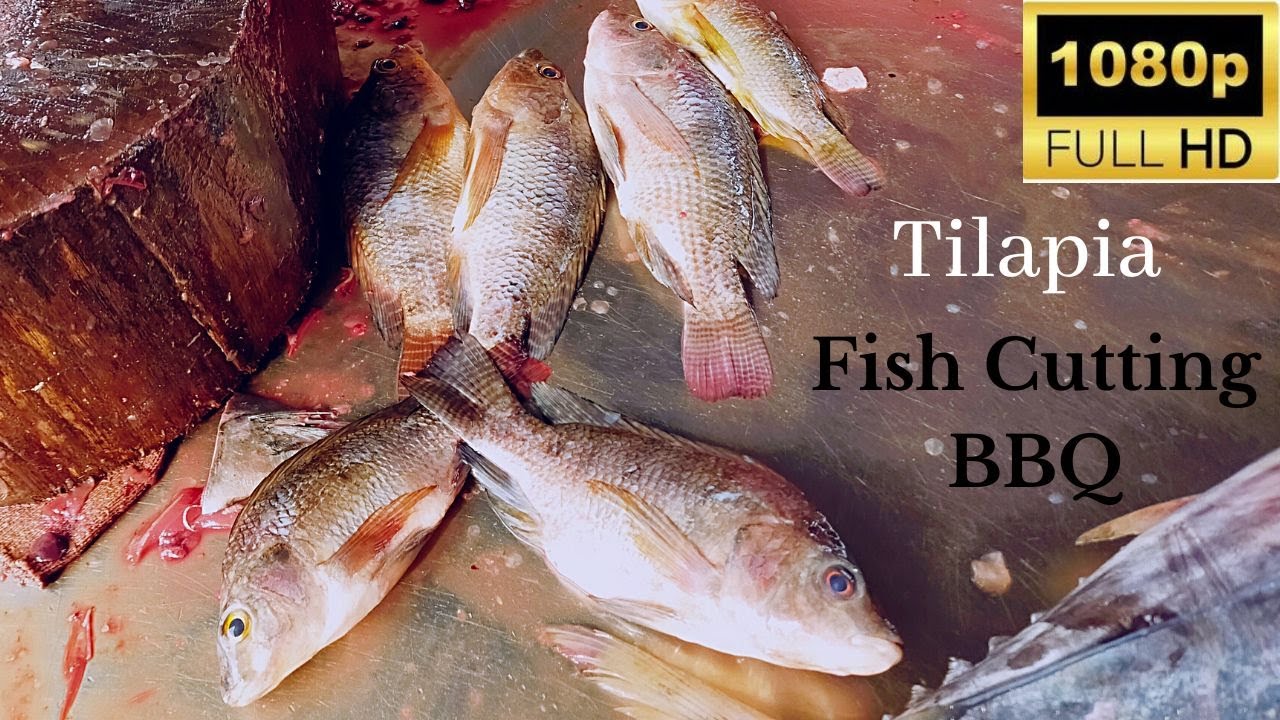 Tilapia fish cutting BBQ | කොරලි | Lake fish cutting | Awesome Cutting ...