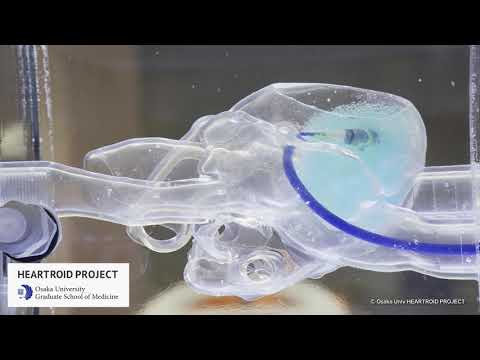 HEARTROID PROJECT Leadless Pacemaker Implantation - YouTube