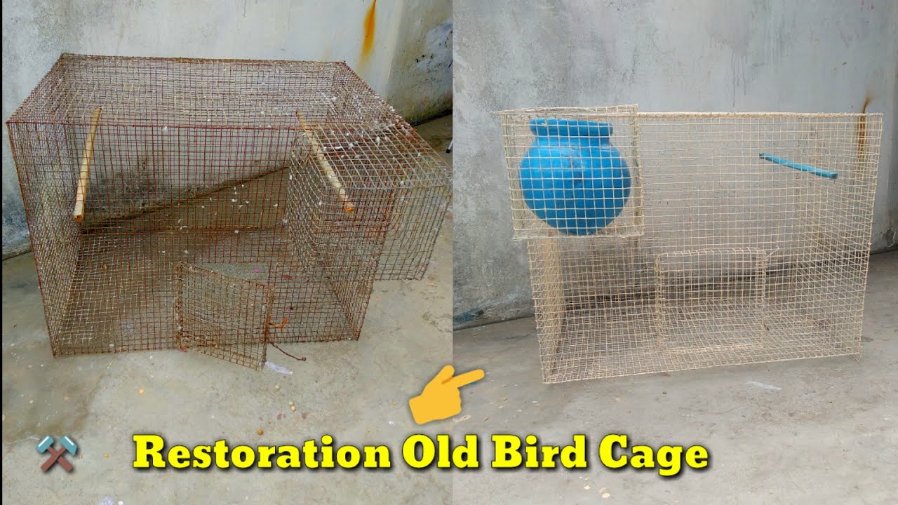 Restoration Bird Cage - YouTube