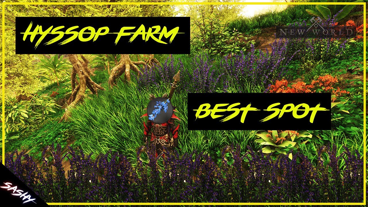 New World: Hyssop (Herb). 1K In 20 Min +???? - YouTube