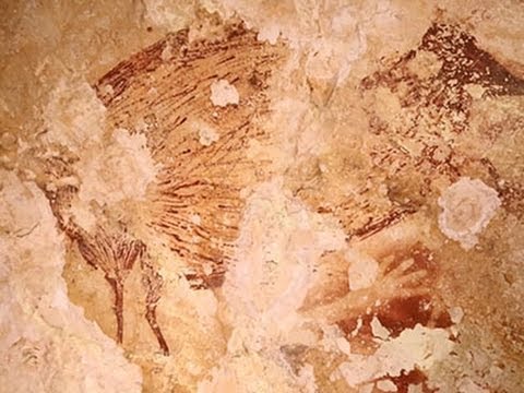 Study: Asian Cave Drawings As Old As Europe's - YouTube