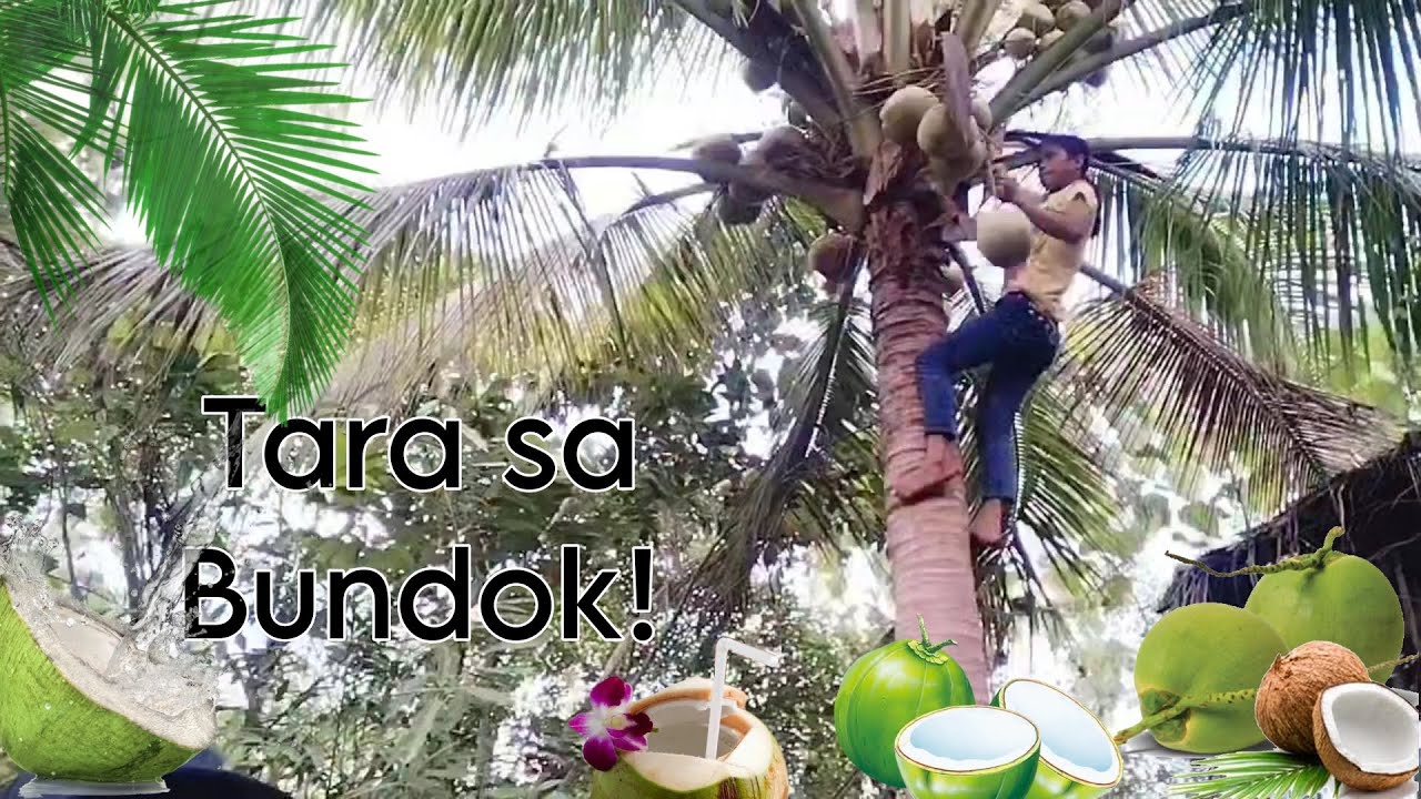KUMAIN NG BUKO SA BUNDOK! - YouTube