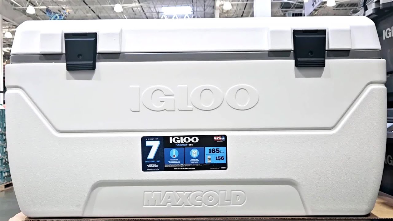 IGLOO 165 QT MAXCOLD COOLER Shop with us at Costco!!! - YouTube