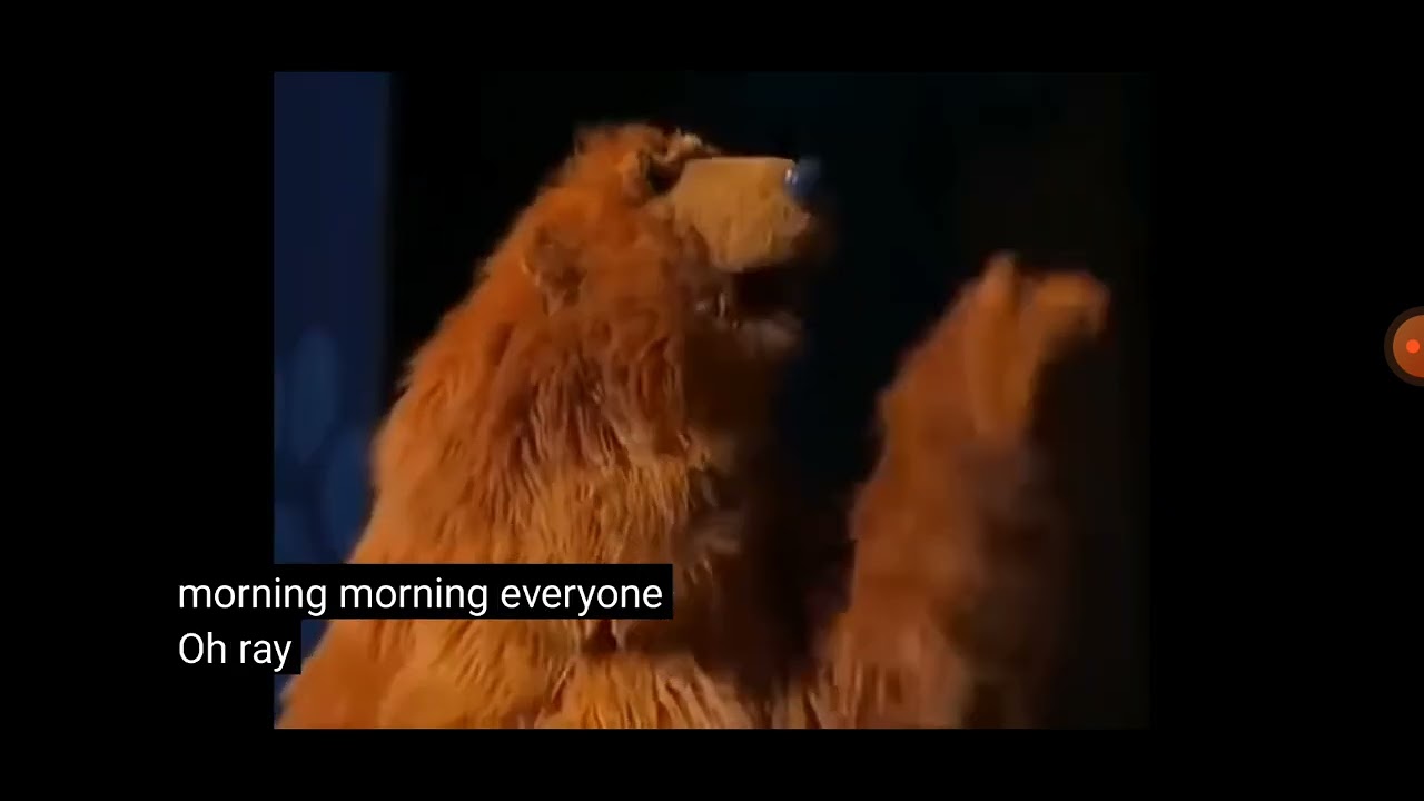 bear in the big blue house good morning from the sun 🌞 - YouTube