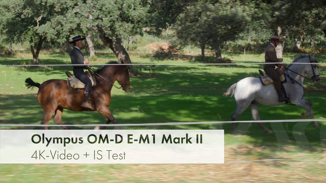Olympus OM-D E-M1 Mark II | 4K-Video sample with in-body stabilization