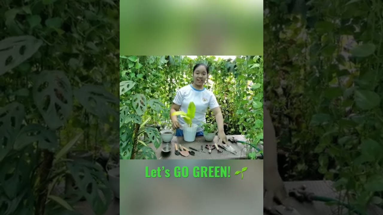 Go Green! Introducing Kids to Gardening - YouTube