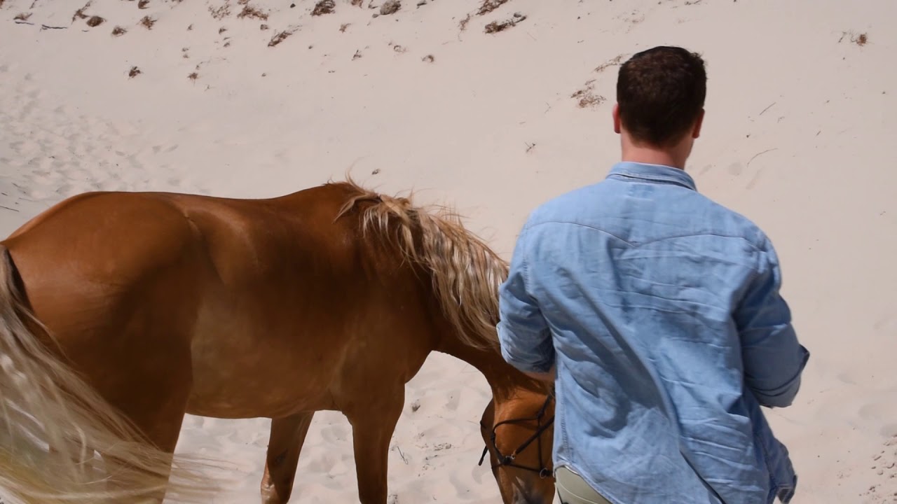 Making of de Horse and Hunk kalender 2018 Sil Visser - YouTube