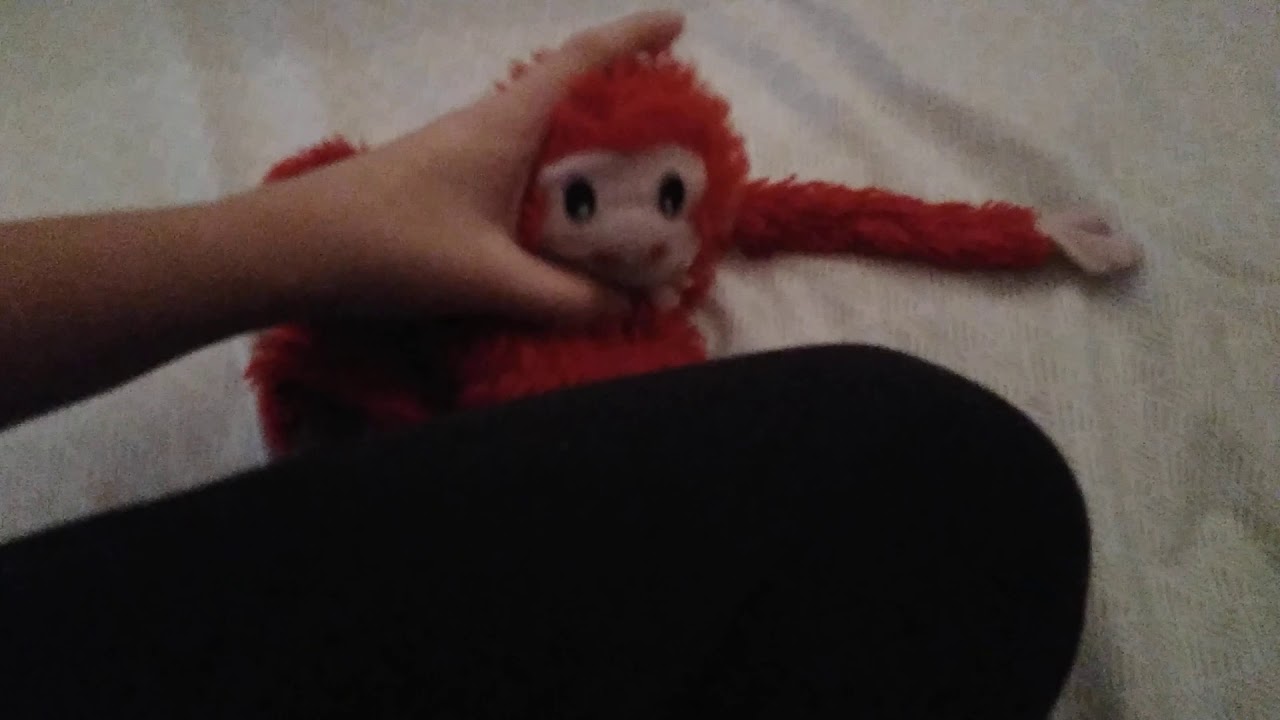 MONKEY RAP BATTLE (lol..) - YouTube