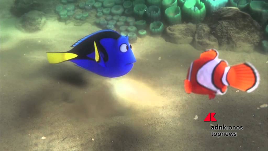 'Alla ricerca di Dory, primo trailer per il sequel di 'Nemo''... - YouTube