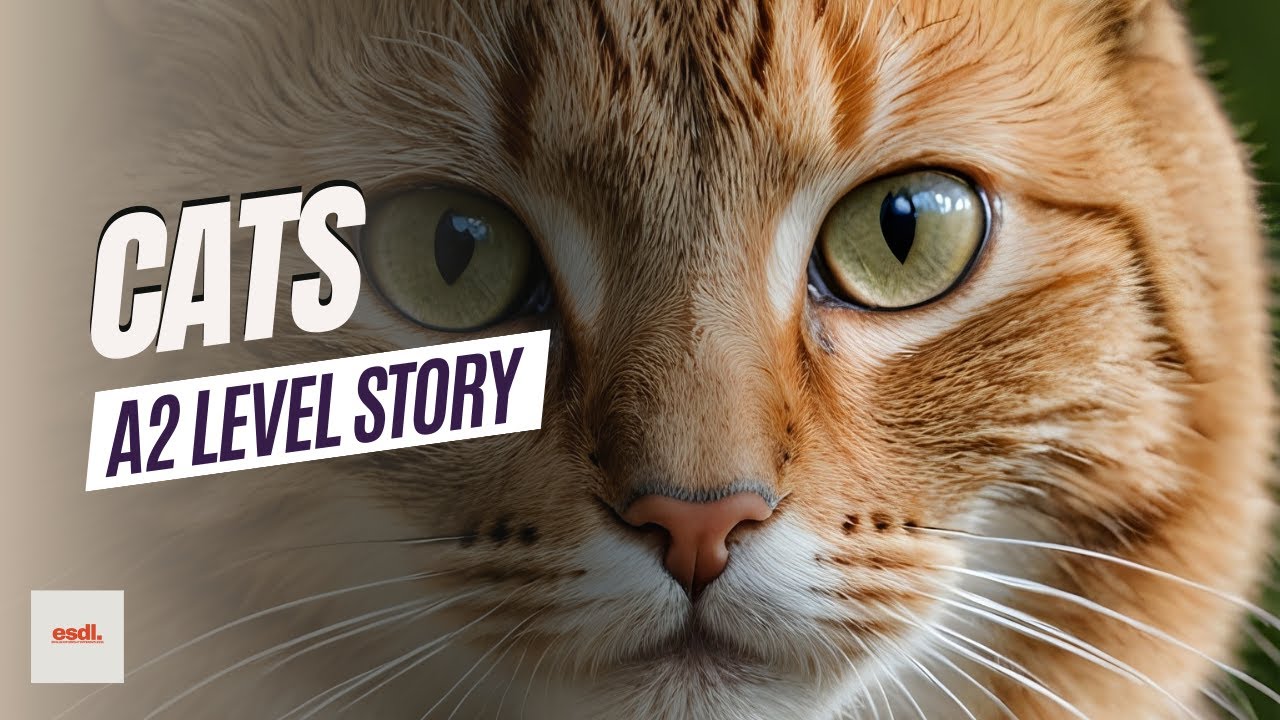 A2 Level-Cats - YouTube