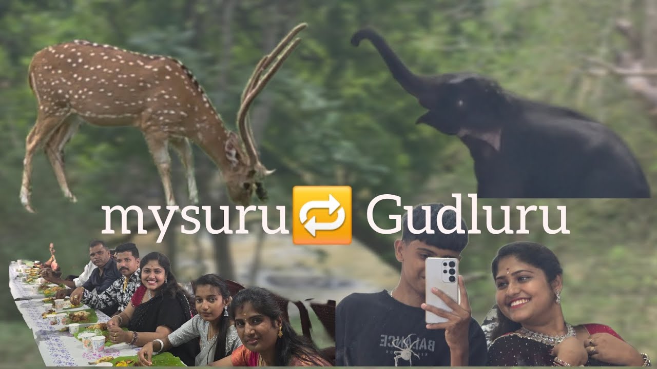 Forest way 🥰mysuru 🔁 Gudluru 😘 - YouTube
