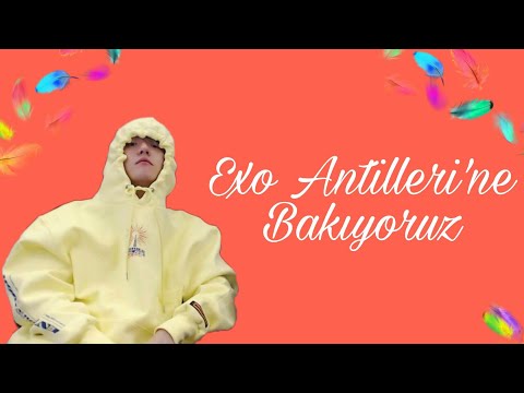 🍑Exo anti sayfalarına bakıyoruz