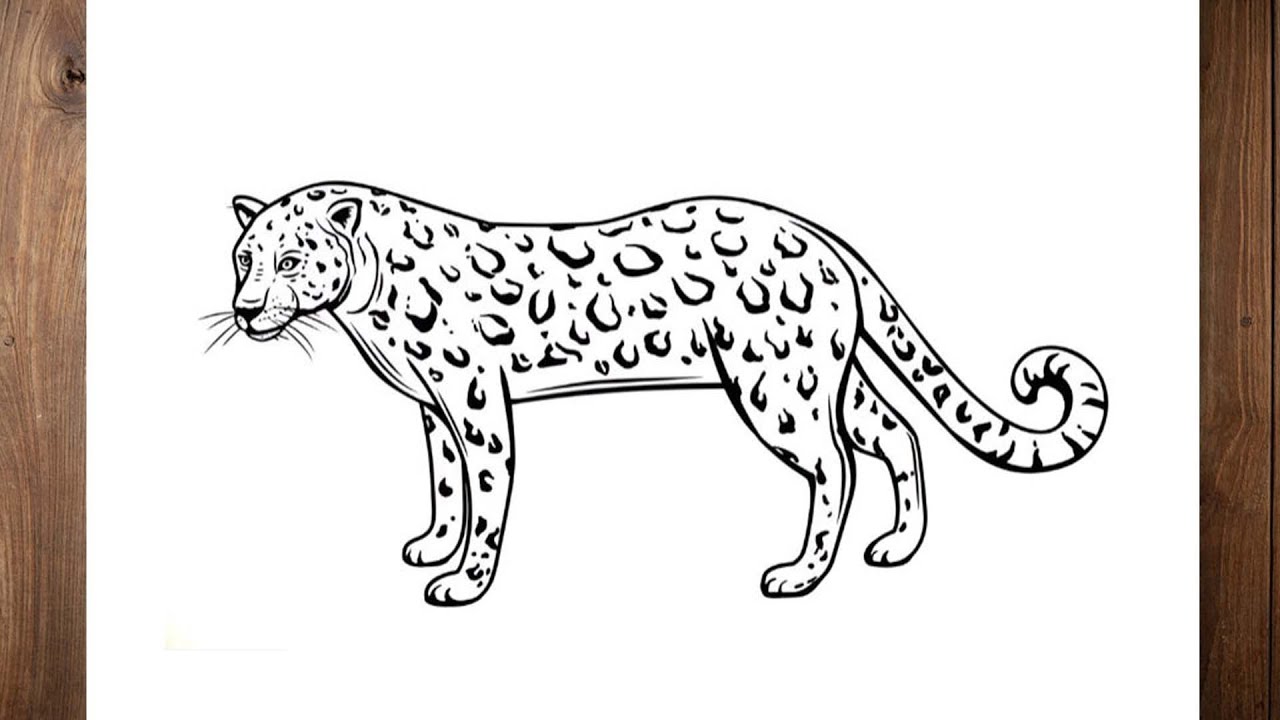 How to draw a african leopard full body easy step by step - YouTube