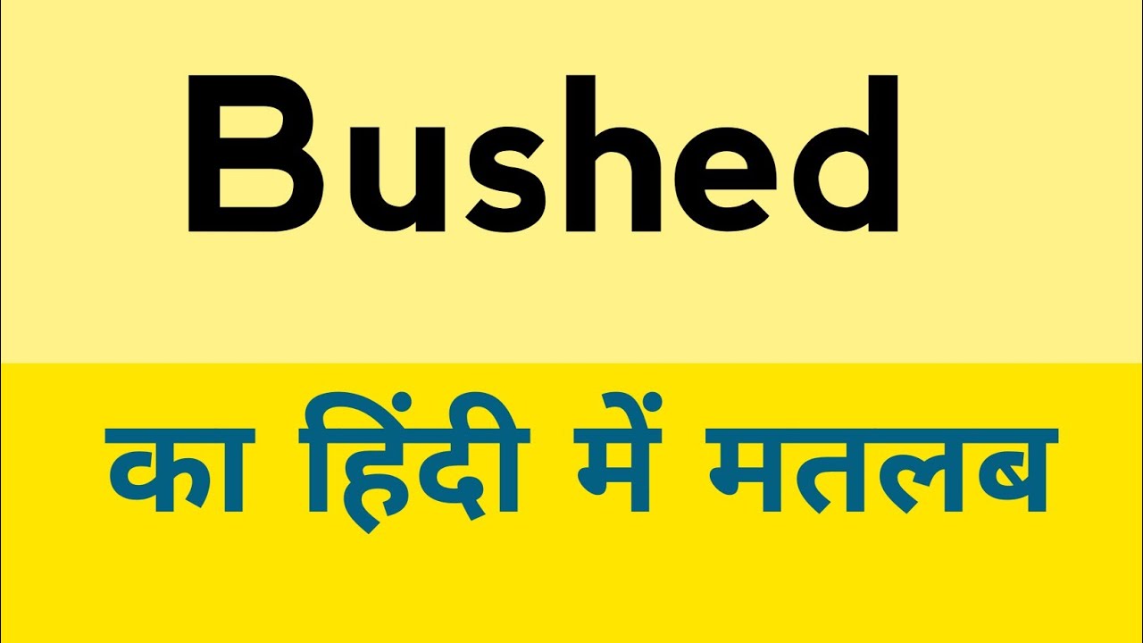 Bushed meaning in hindi | Bushed ka matlab kya hota hai - YouTube