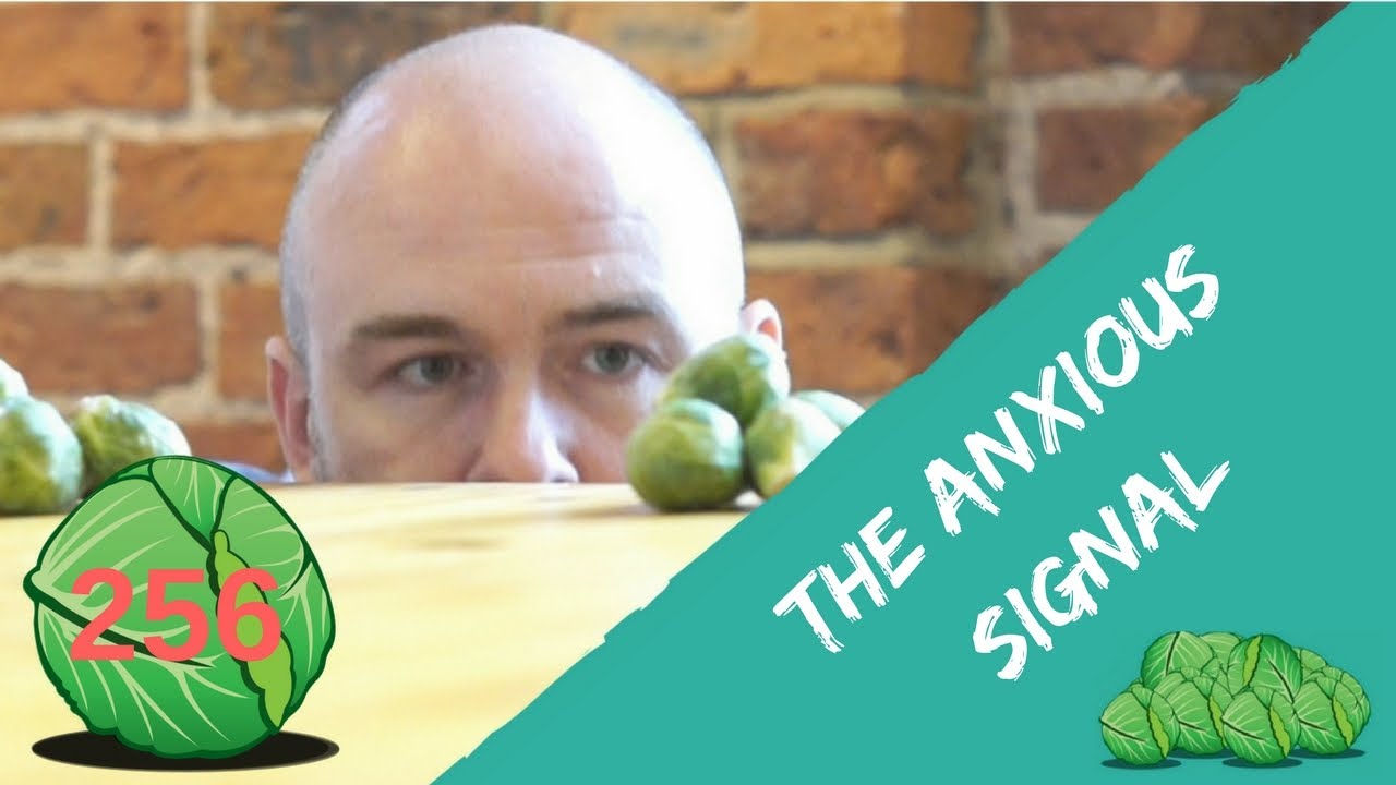 Take a mindful moment | The Anxious Signal | daily sprout 256 - YouTube