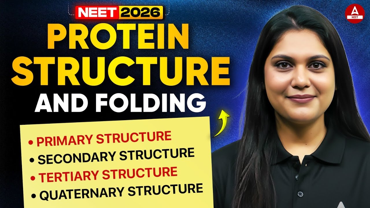 NEET 2026 Biomolecules: Proteins (Primary to Quaternary) NCERT One Shot ...