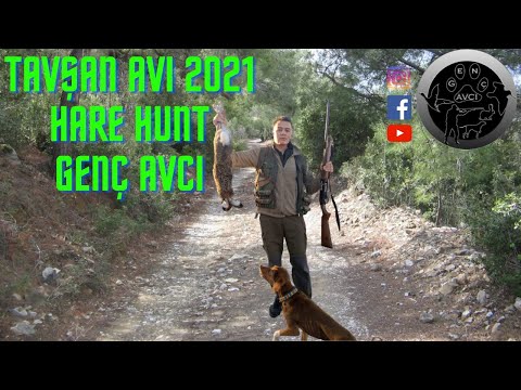 TAVŞAN AVI 19 Kopayla Tavşan Avı 2021-Tavşanı Başkaları Vurdu!-ΚΥΝΗΓΙ ΛΑΓΟΥ- Hare Hunting- GENÇ AVCI