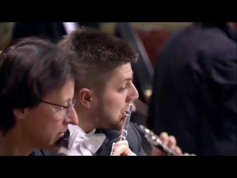 BEETHOVEN - 3rd Symphony (IV mov.) - Flute Solo (Demin)