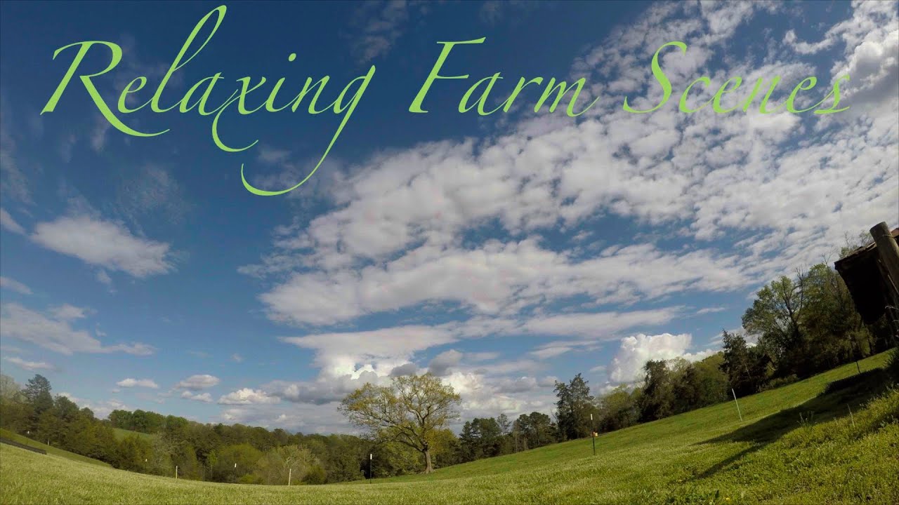 Relaxing Farm Scenes set to Classical music (time lapse and drone ...