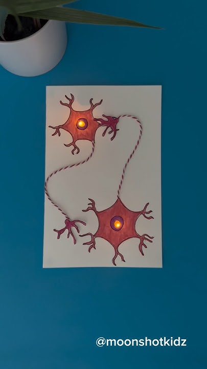 DIY “Neuron connections” interactive card. Easy and fun paper ...