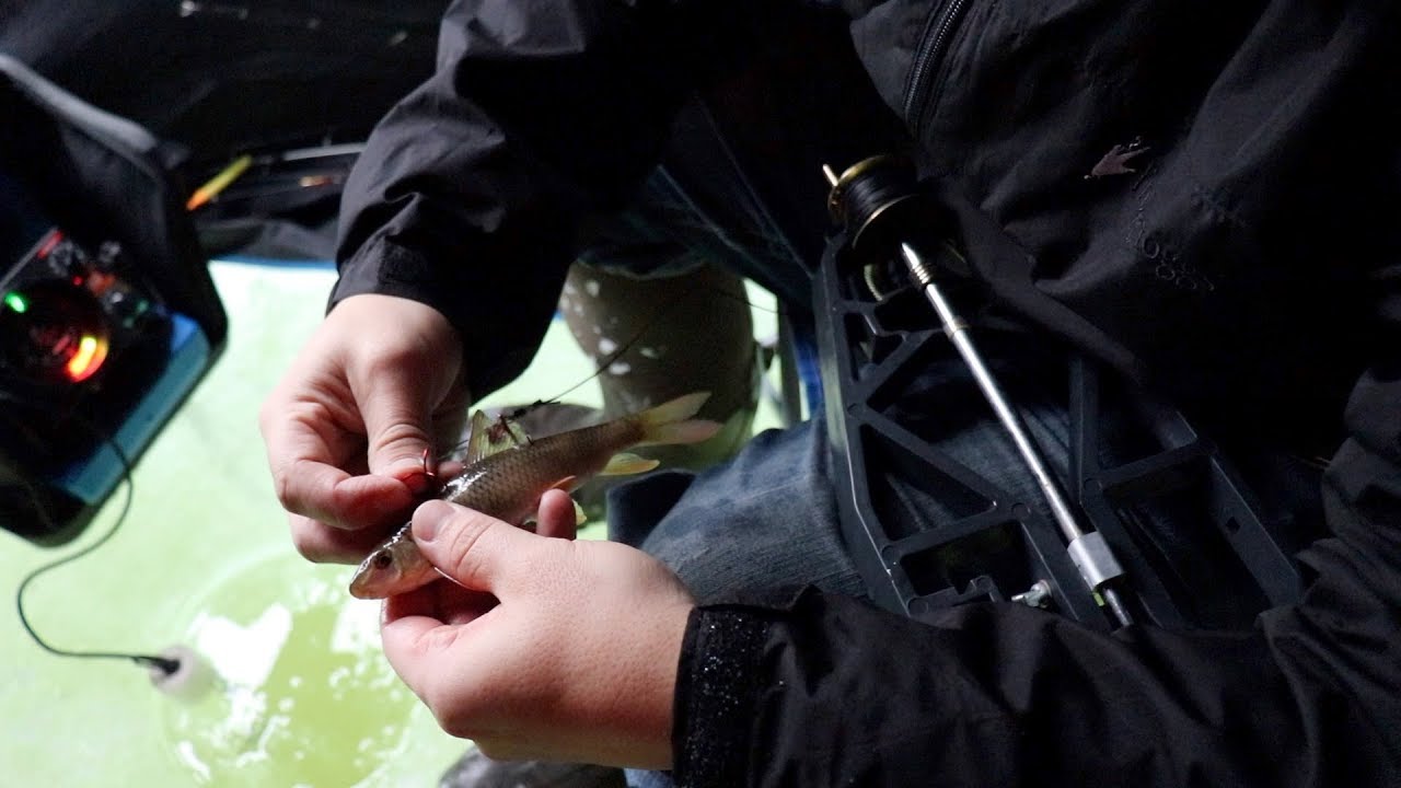 How to rig a Tip-Up for PIKE - YouTube