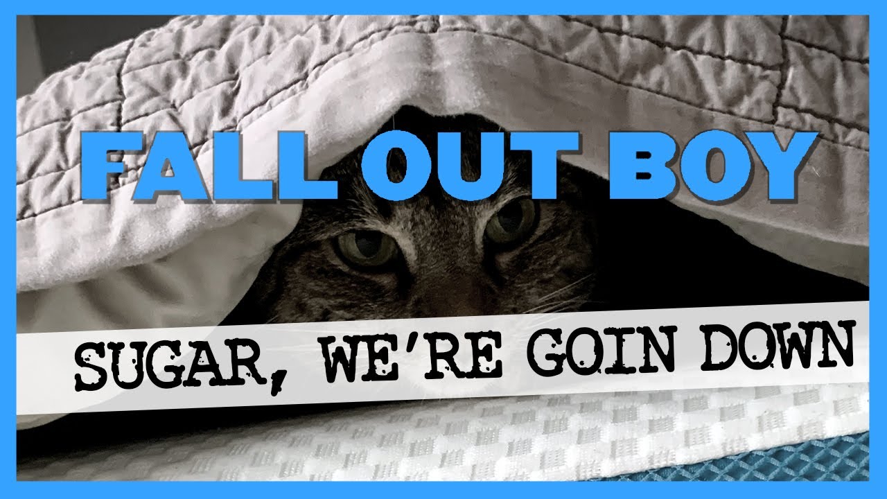 "Sugar, We're Goin Down" | FALL OUT BOY (cover by Like a Pop Song ...