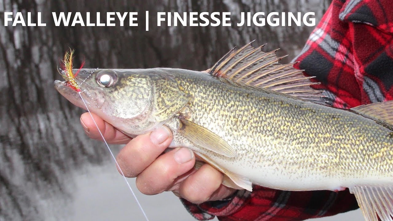 Fishing Late Fall Walleye - Jackson Lake Colorado - YouTube