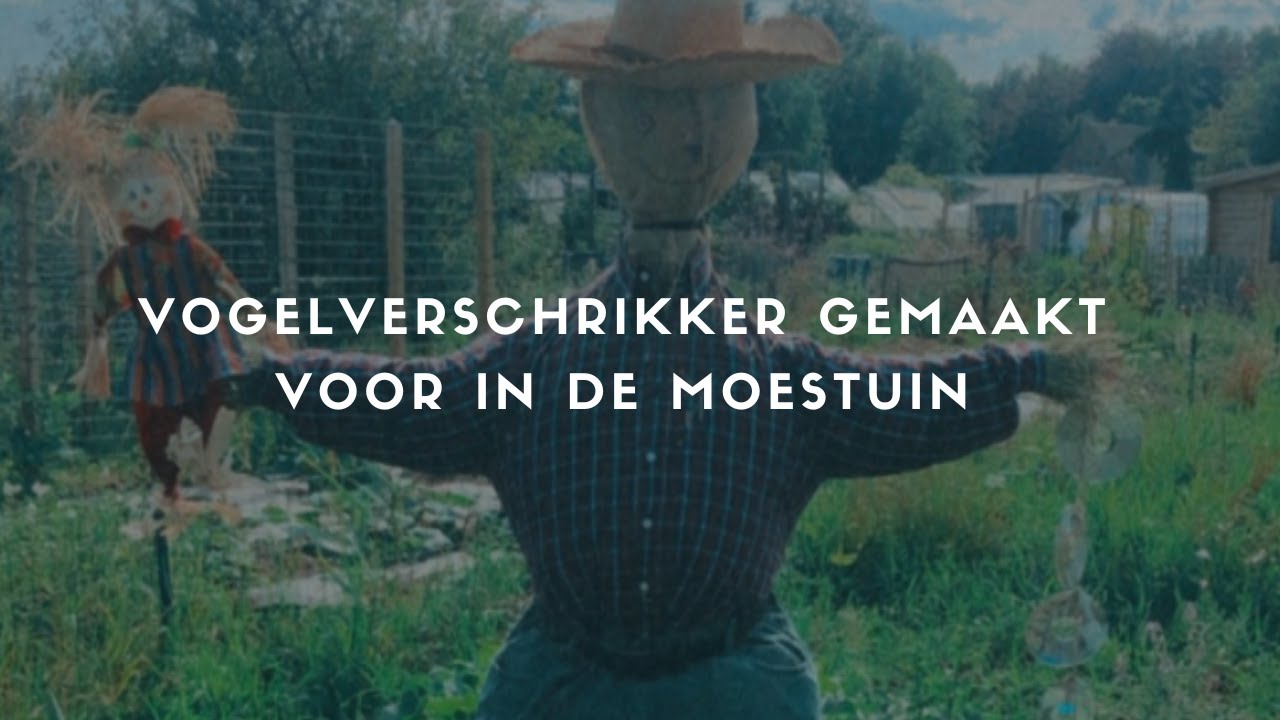 vogelverschrikker gemaakt voor in de moestuin #weekvlog85 - YouTube