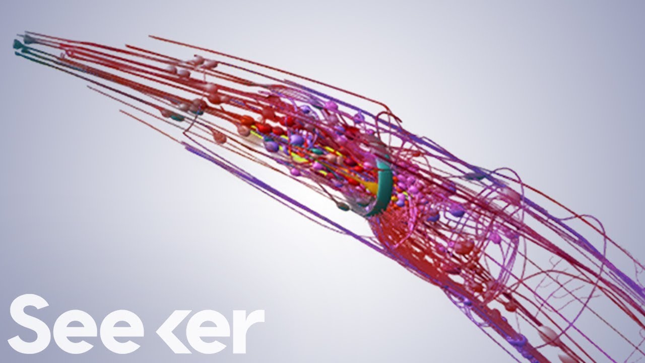 Scientists Put the Brain of a Worm Into a Robot… and It MOVED - YouTube