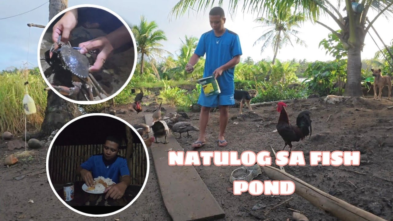NATULOG AKO SA FISHPOND | Nagtali ng alimango - YouTube