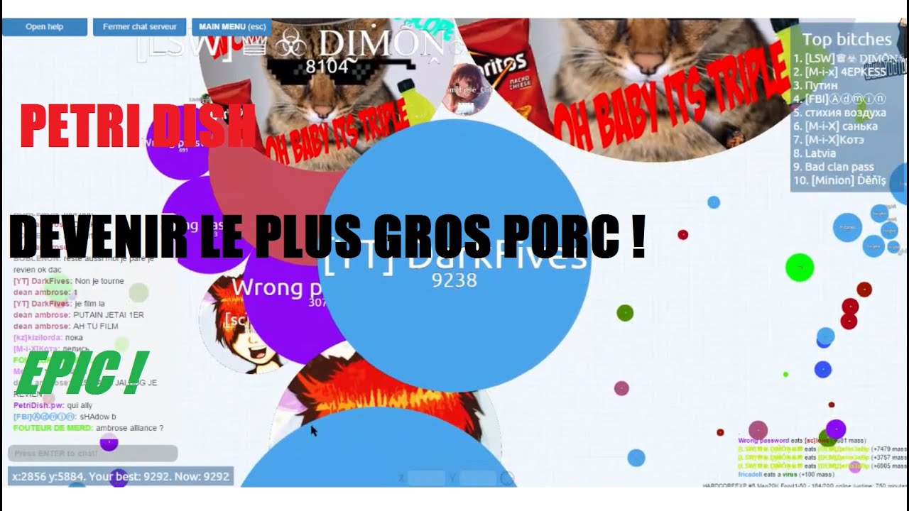 [Petri Dish] Comment devenir le plus gros porc ! - YouTube